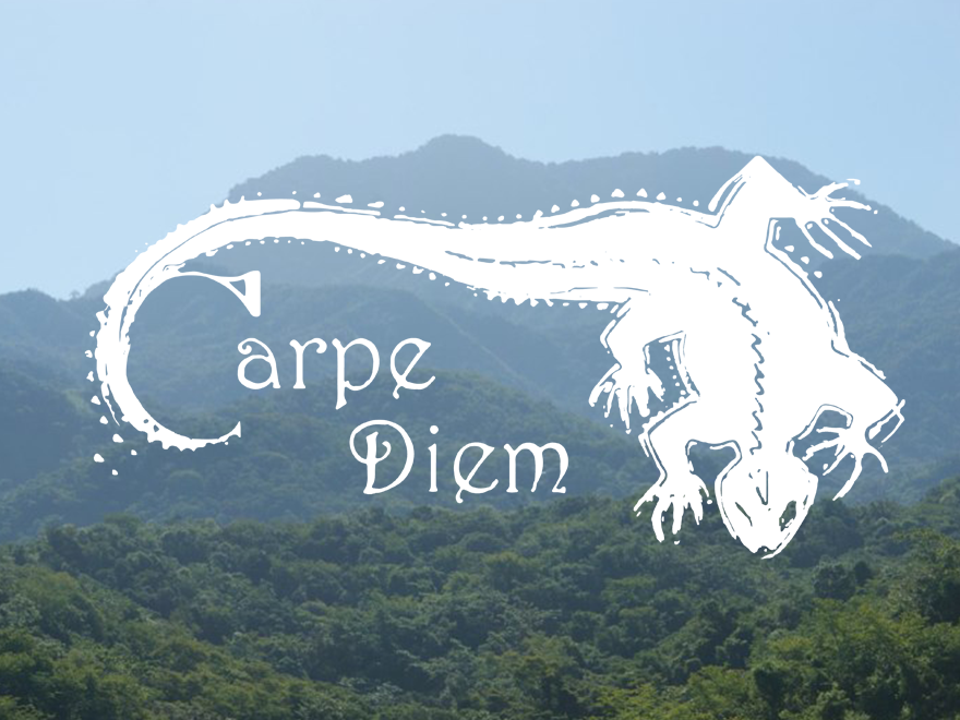 Local Activities | Finca Carpe Diem